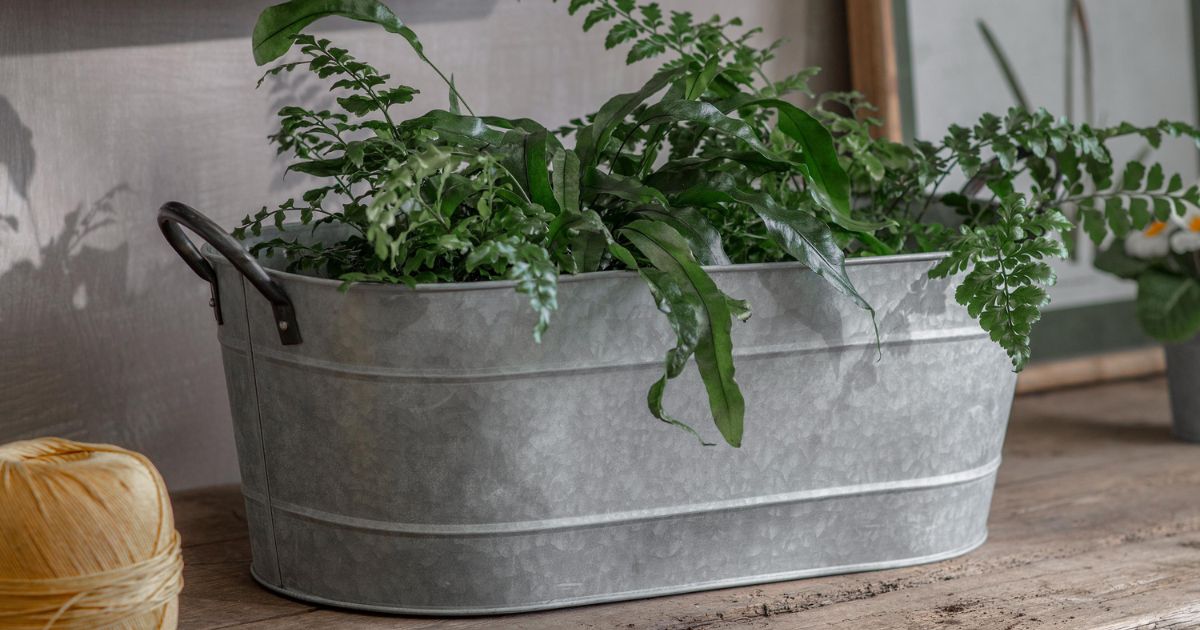 The Clarens Collection – One.World