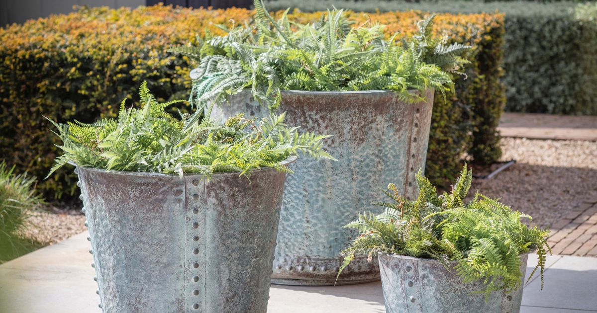 Pots, Planters & Troughs – One.World