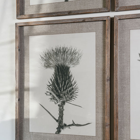 Ormington Set of 4 Poppy Framed Prints – One.World